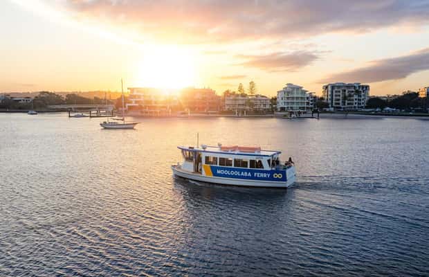 Mooloolaba: Hop-On Hop-Off Ferry Return Ticket | GetYourGuide