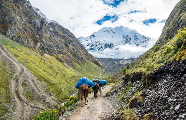 Salkantay trek en 5 días por Llacta pata | GetYourGuide