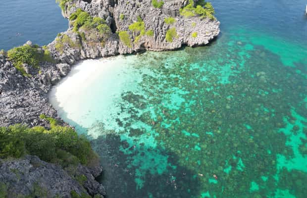 Ko Lanta: Ko Ha snorkelinguretk pikapaadiga ja lõunasöök | GetYourGuide