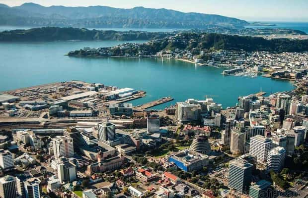 Wonders of Wellington: A Day of Icons, Views & Culture | GetYourGuide