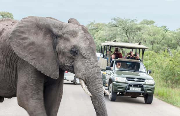 Hazyview: Kruger Park Safari & Panorama Route 2-Day Tour | GetYourGuide