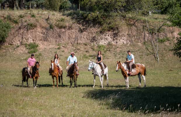 Buenos Aires: Gaucho Day Experience with Asado (BBQ) | GetYourGuide