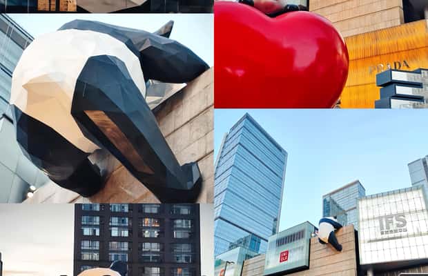 Chengdu: Local Culture Highlights One Day Private Tour | GetYourGuide