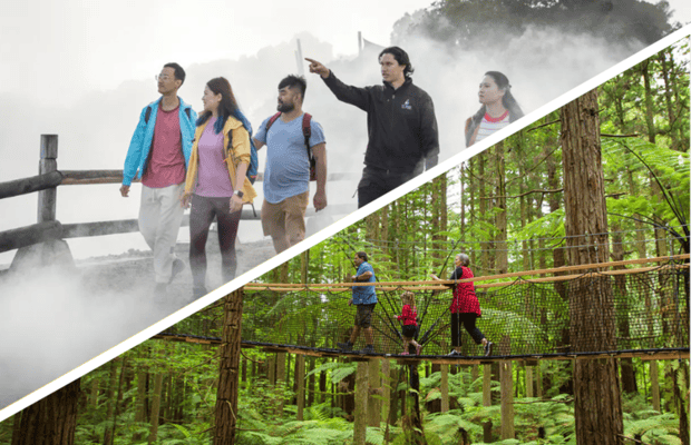 Auckland: Rotorua Highlights inc Te Puia Tour & Redwoods | GetYourGuide