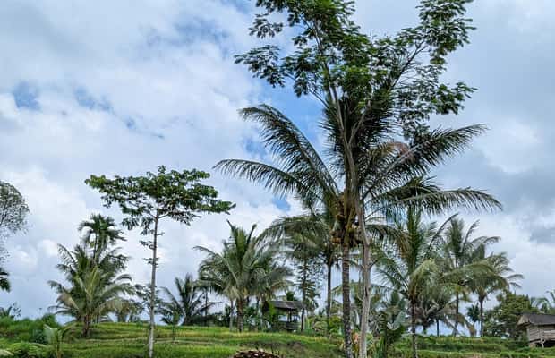 Lombok: Explore Waterfalls & Ricefield In Aik berik Village | GetYourGuide