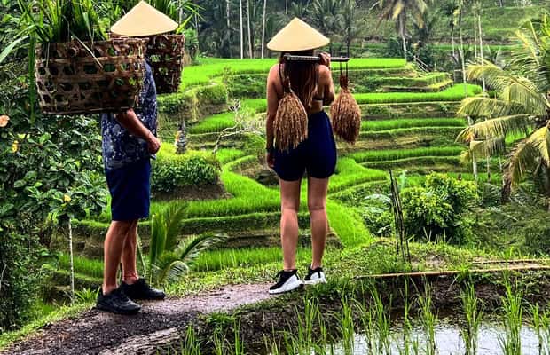 Bali Ubud Tour Monkey Forest, Waterfall, Temple & Rice Field | GetYourGuide
