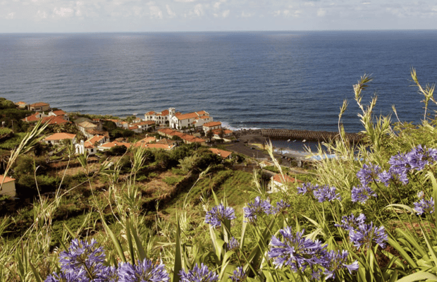 Madeira: rondreis langs de noordkust van het eiland | GetYourGuide