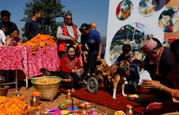 Kathmandu: Kukur Tihar Festival Tour with Local Family | GetYourGuide