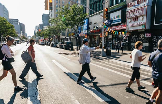 Authentic NYC: Brooklyn, Bronx, Harlem, Queens & Coney | GetYourGuide