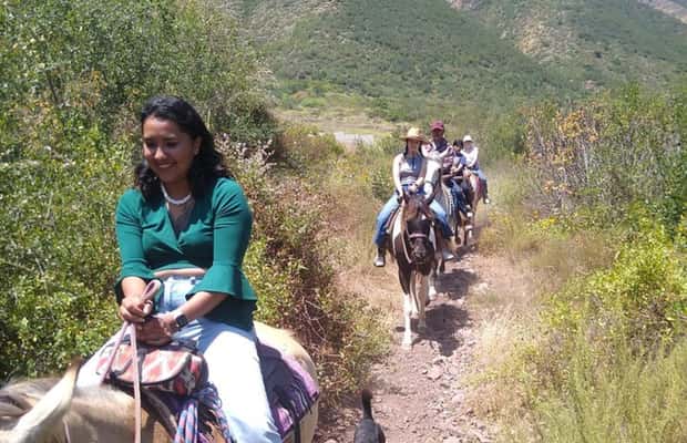Ensenada: Baja’s Hidden Trails: Horseback Ride w/ Ocean View | GetYourGuide
