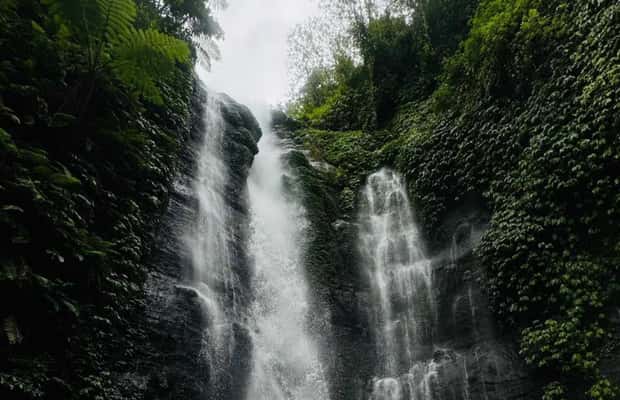 Bali's Best Waterfalls: Sekumpul Waterfall Trekking Tour | GetYourGuide
