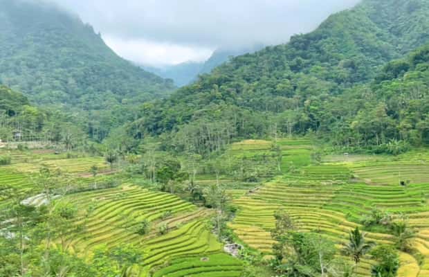 Borobudur: Nepal Van Java & Selogriyo Rice Terraces Private | GetYourGuide