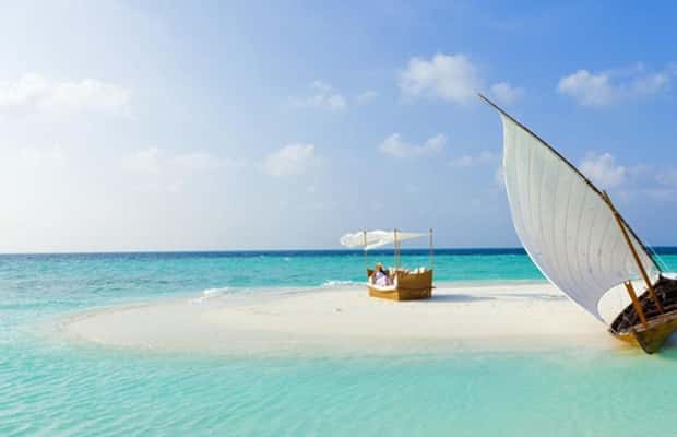Zanzibar: Prison Island & Nakupenda Sandbank Tour With Lunch | GetYourGuide