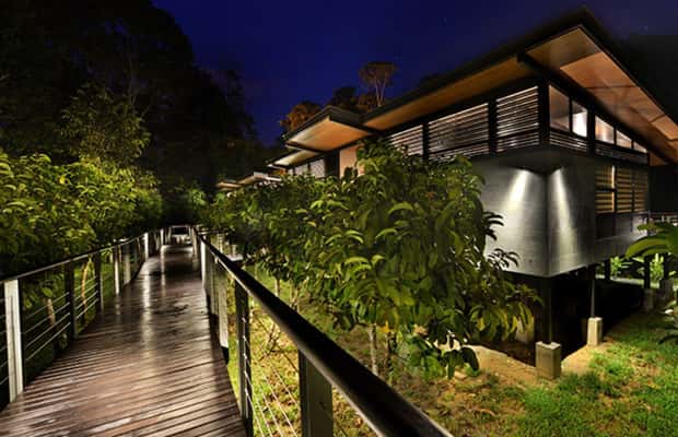 Lahad Datu: 3-Day Danum Valley Rainforest Adventure | GetYourGuide