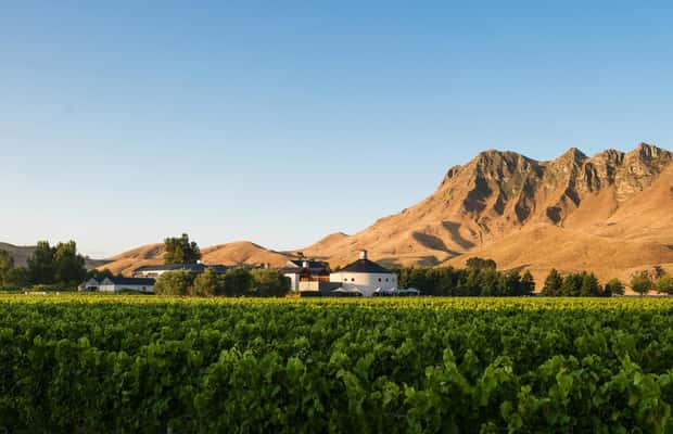 From Napier: Craggy Range Wine Tour with Te Mata Peak Stop | GetYourGuide
