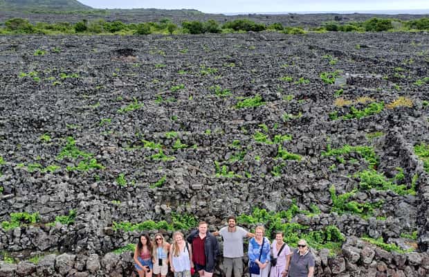 Tour del vino e degustazione con un viticoltore locale sull'Isola di ...