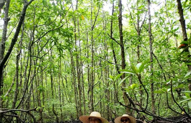 Zanzibar: Masingini Forest Hike and Uzi Island Kayaking Tour | GetYourGuide