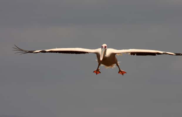 3 días en Arba Minch y los lagos del Valle del Rift, incluyendo Addis ...