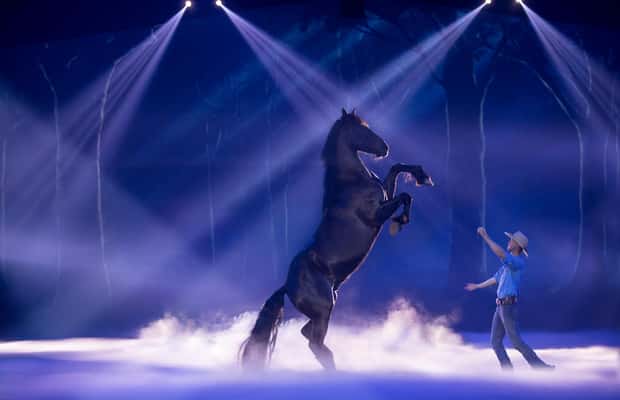 Gold Coast: Australian Outback Spectacular Dinner & Show | GetYourGuide