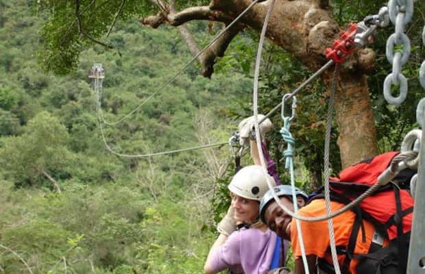 Hazyview: 2,5 uur durende Sabie River Zip Line ervaring | GetYourGuide
