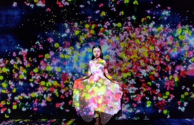 Tokyo: teamLab Planets & Toyosu Fish Market Guided Tour | GetYourGuide