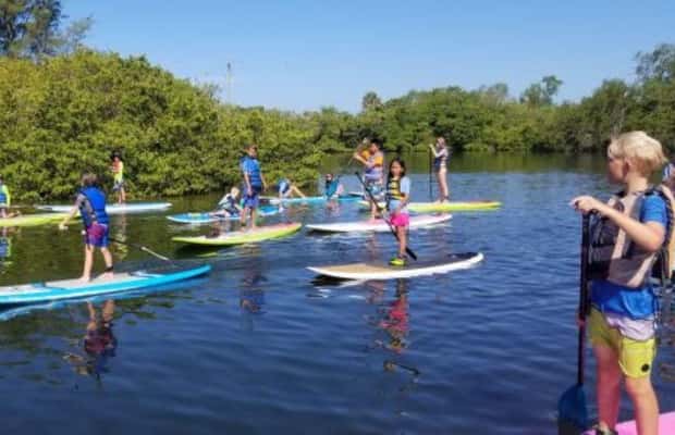 Siesta Key: Mangrove Kayak or Paddleboard Tour | GetYourGuide