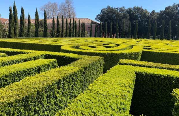 Venice: Borges Labyrinth Experience on San Giorgio Island | GetYourGuide