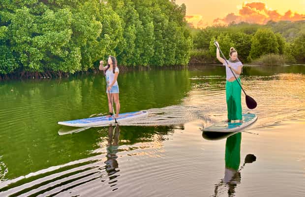 Mauritius: Guided Stand Up Paddle Tour on Tamarin River | GetYourGuide