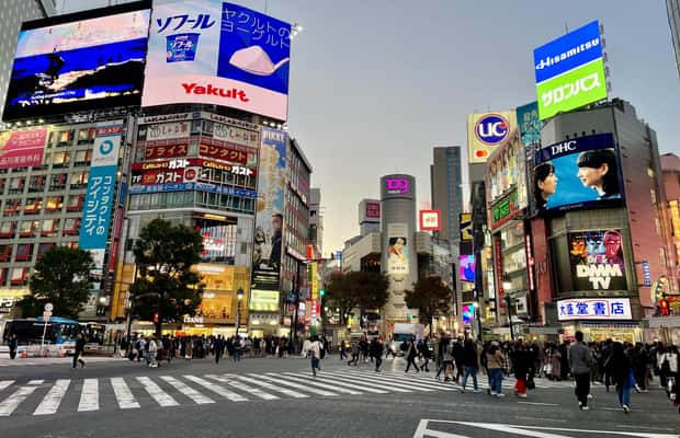 Perfect Start for your Japan Trip - Private Tour in Tokyo | GetYourGuide