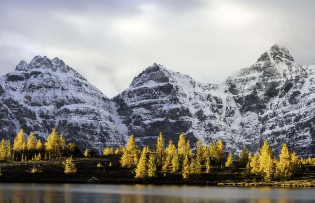Banff: Larch Valley Guided Hike with Lunch & Transfers | GetYourGuide