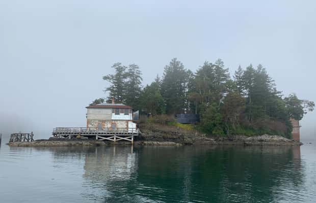 Paddling tour to the Historical Cole Island - Victoria BC | GetYourGuide