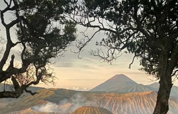 De Yogyakarta, Surabaya ou Malang: Bromo Ijen Bali 3D2N | GetYourGuide