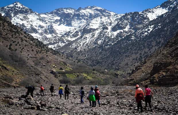 Marrakech: escursione alle cascate delle montagne dell'Atlante con tè ...