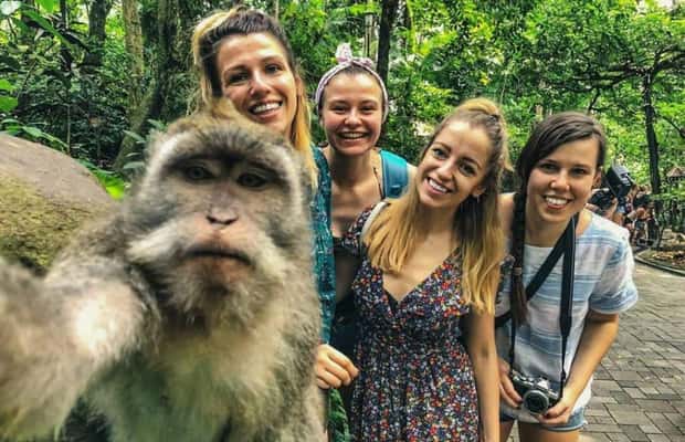 Magical Ubud: Temples, Rice Terraces & Waterfalls | GetYourGuide