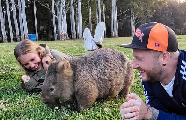 WILD Wombats and Kangaroo Experience, All Inclusive, Sydney | GetYourGuide