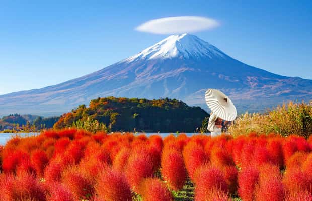 Full-Day Tour to the Picturesque Spots of Mount Fuji | GetYourGuide