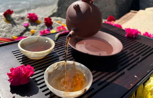 Santa Barbara: Nature Edition Trail Hike and Tea Ceremony | GetYourGuide