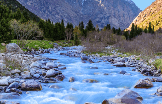 From Bishkek: Ala Archa National Park Guided Tour & Picnic | GetYourGuide