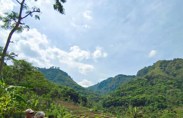 Selogriyo Temple and treking Java Rice Terrace with guide | GetYourGuide