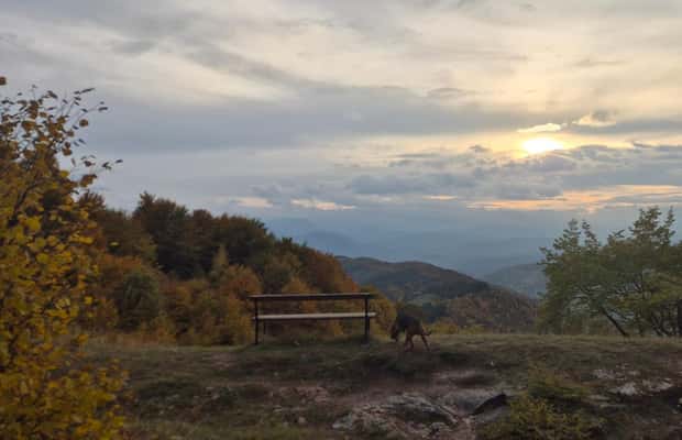 Sarajevo: Via ferrata Bukovik | GetYourGuide