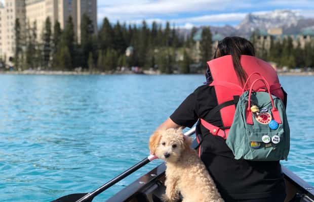 Udforsk Banff: Lake Louise & Moraine Lake dagsudflugt Shuttle ...