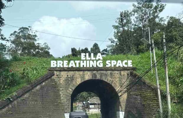 Ella: Curated Day Tour with Scenic Train Journey from Kandy | GetYourGuide