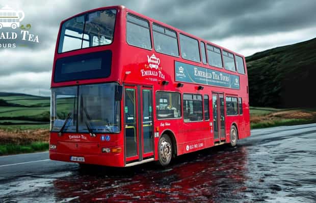 Wexford: Afternoon Tea Tour on A Double Decker Bus | GetYourGuide