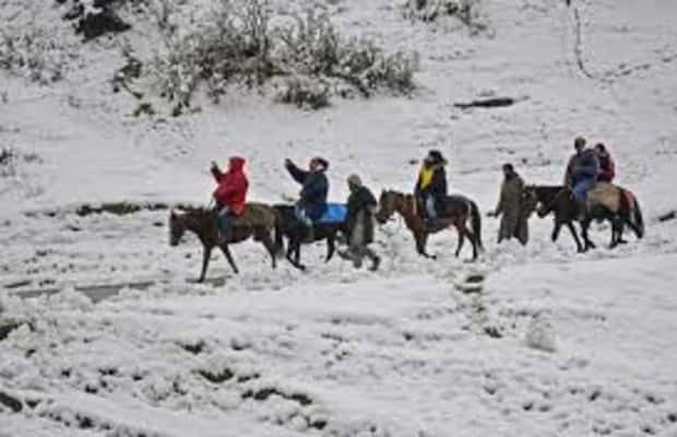 Gulmarg Day Trip: Horse Ride Through Scenic Landscapes | GetYourGuide