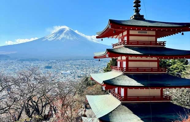 Tokio: privétour naar de berg Fuji en het Kawaguchikei met gids | GetYourGuide
