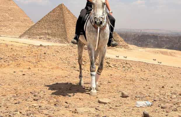 Cairo: Horse Riding tour at Pyramids of Giza | GetYourGuide