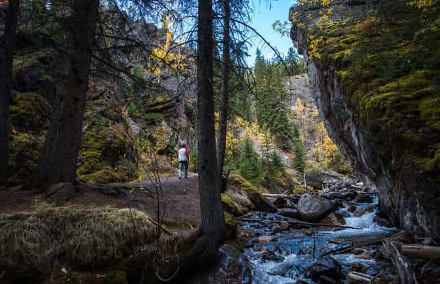 Banff: Thermal Waters and Hidden Waterfalls - 3hr Walk | GetYourGuide