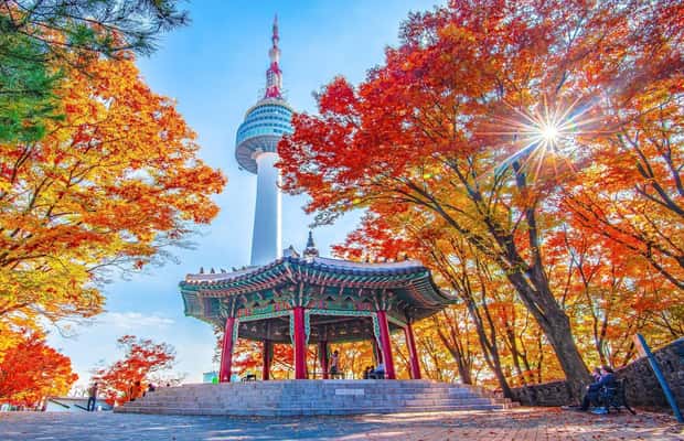 Seoul: N Seoul Tower Observatory & Cable Car Combo Ticket | GetYourGuide