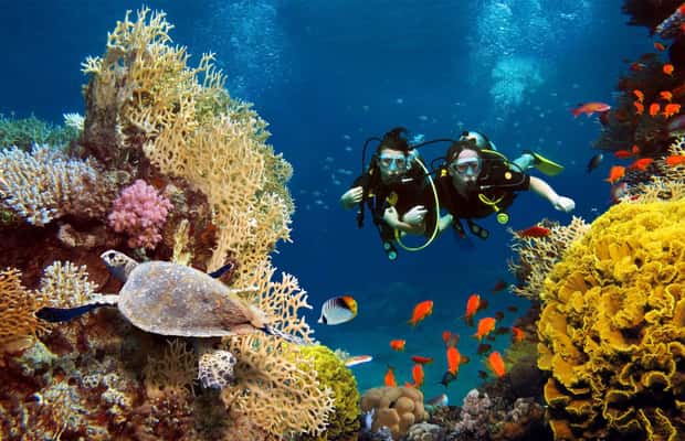 Bali Vip: Sea Walker Under Water Experience | GetYourGuide