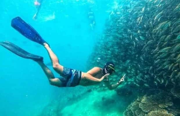 Lombok: Gili Nanggu, Tangkong, Sudak, and Kedis Islands Tour | GetYourGuide